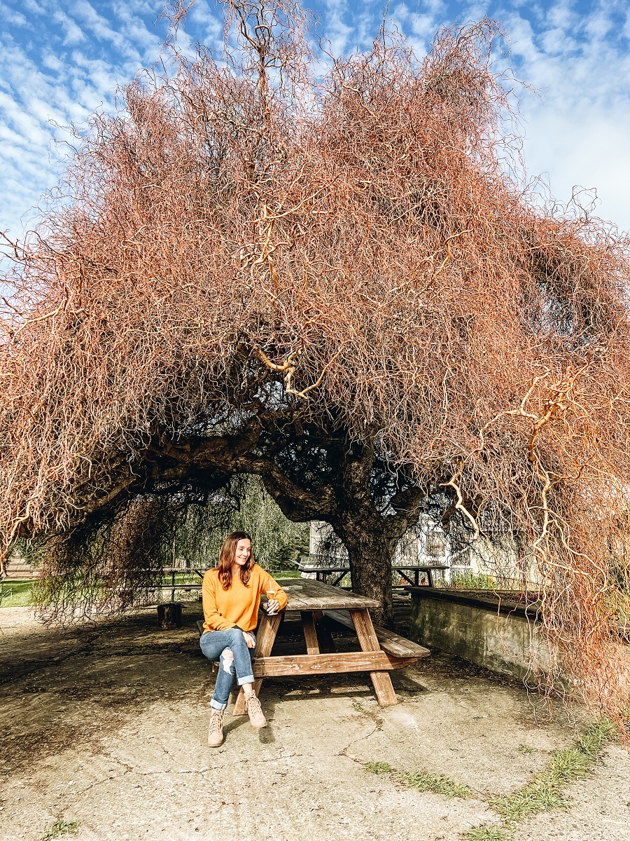 25 Things to Do in Point Reyes National Seashore