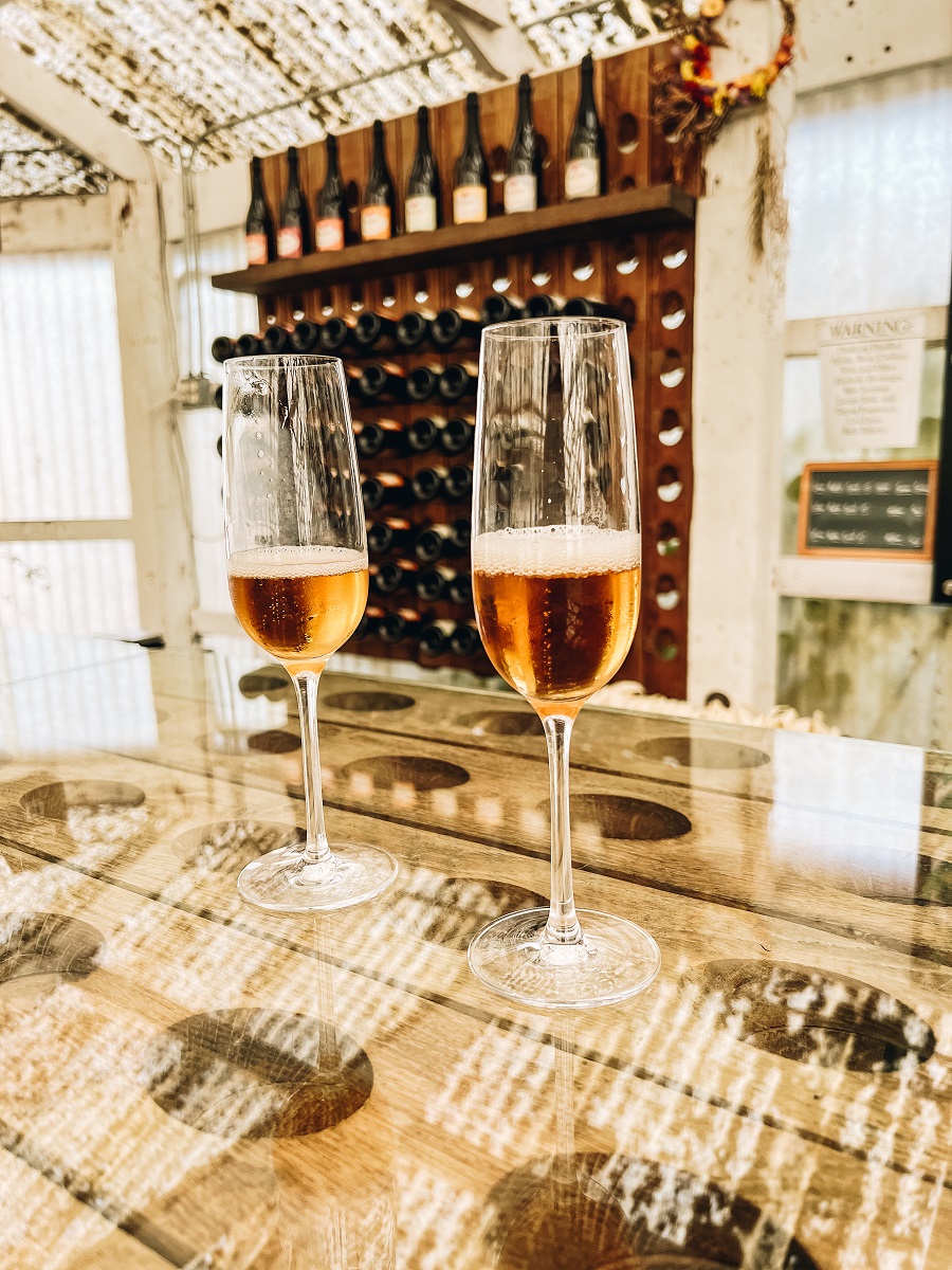 Point Reyes National Seashore Bucket List: 25+ Things to Do