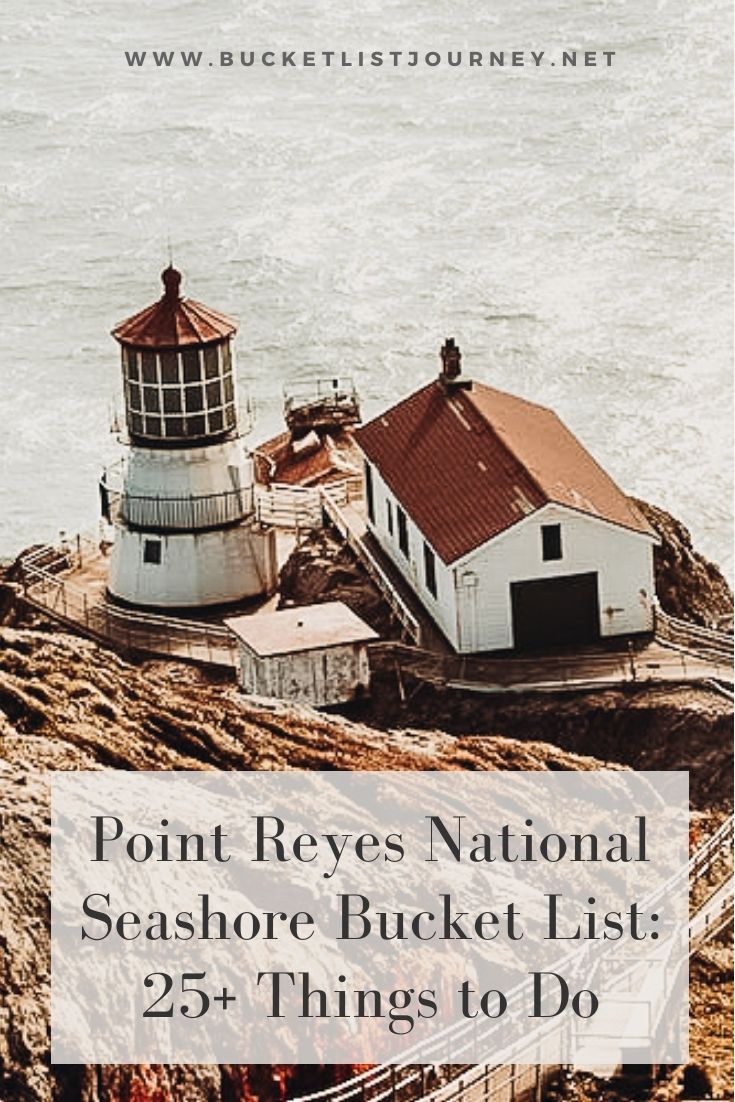 Point Reyes National Seashore Bucket List: 25+ Things to Do