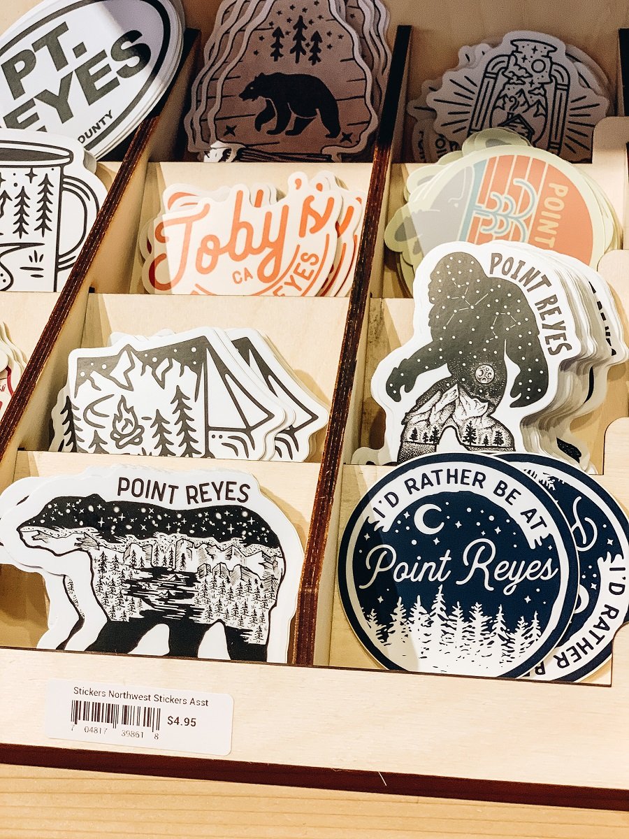 25 Things to Do in Point Reyes National Seashore