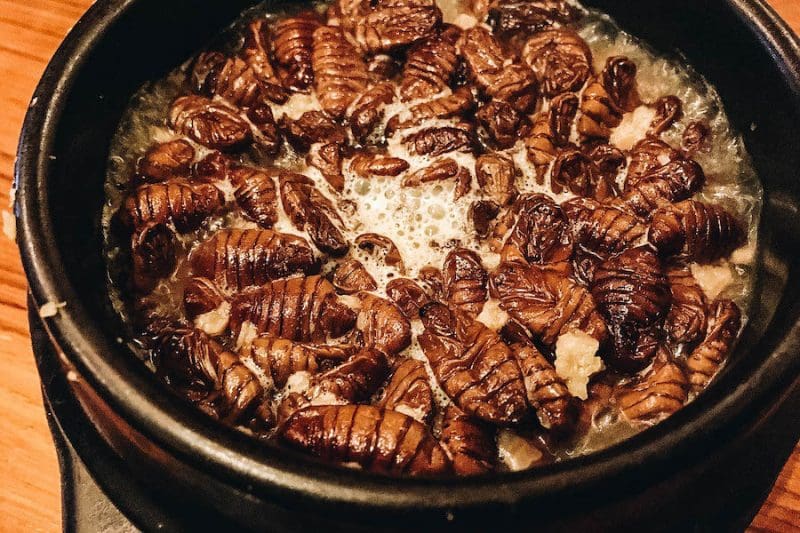 Weird Food Bucket List: 50 Strange Foods From Around the World