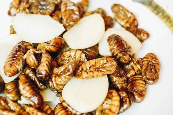 Weird Food Bucket List: 50 Strange Foods From Around the World