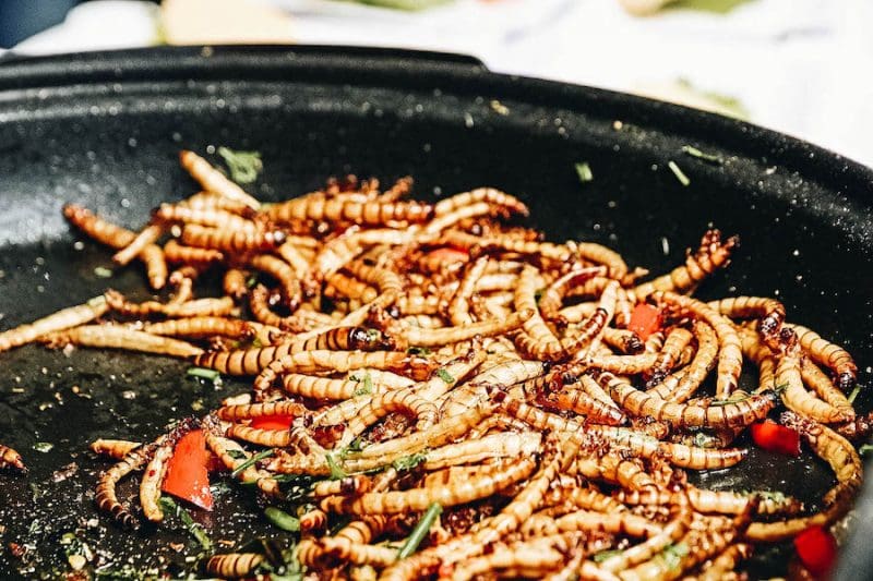 Edible Bugs Bucket List: 25 Insects People Eat Around the World