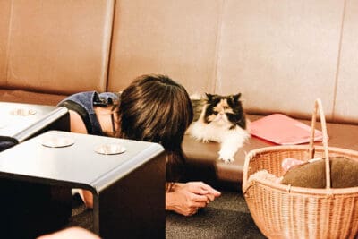 Tokyo Cat Cafe Bucket List: 5 Best Ones to Visit
