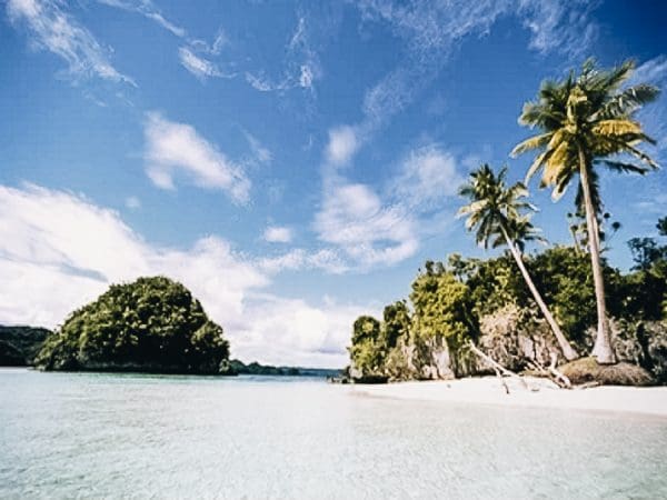 Explore the Micronesian Country of Palau Island by Sea