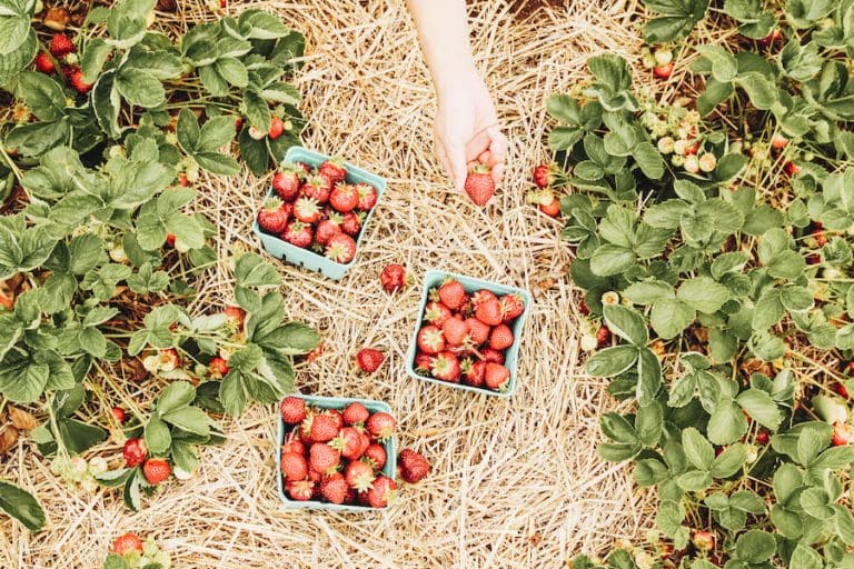 Spring Bucket List: 35 Fun Activities & Things to Do