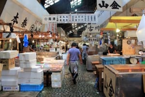 Pay a Visit to Tokyo's Tsujiki Fish Market