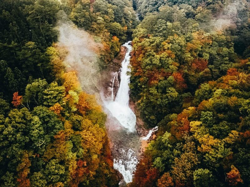 Sendai Bucket List: 16 Things to Do in the Japan's City of Sendai