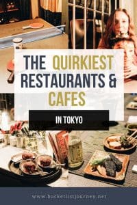 Tokyo Food: 13 Themed (& Slightly Weird) Cafe & Restaurant Experiences