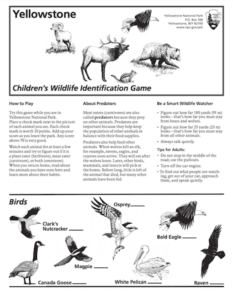 Montana Bucket List: 14 Winter Things To Do in Yellowstone Country