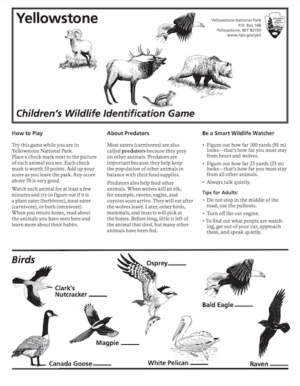 Montana Bucket List: 14 Winter Things To Do in Yellowstone Country