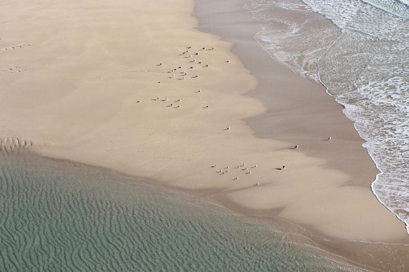 Eastern Shore of Virginia Bucket List: 12 Outdoorsy Things to Do