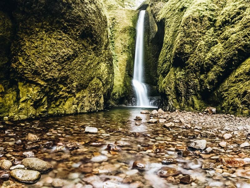 Portland Bucket List: 55 Fun Things to Do in Oregon's Top City
