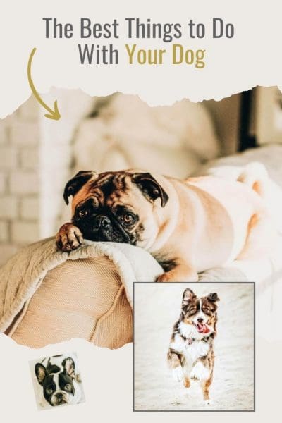 Dog Bucket List: 45 Fun Things to Do With Doggie to Make Him Happy