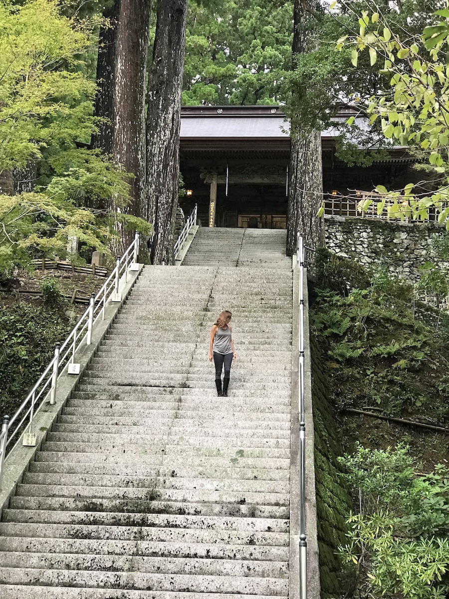 Tokushima Bucket List: 12 Best Things To Do in Japan's Prefecture