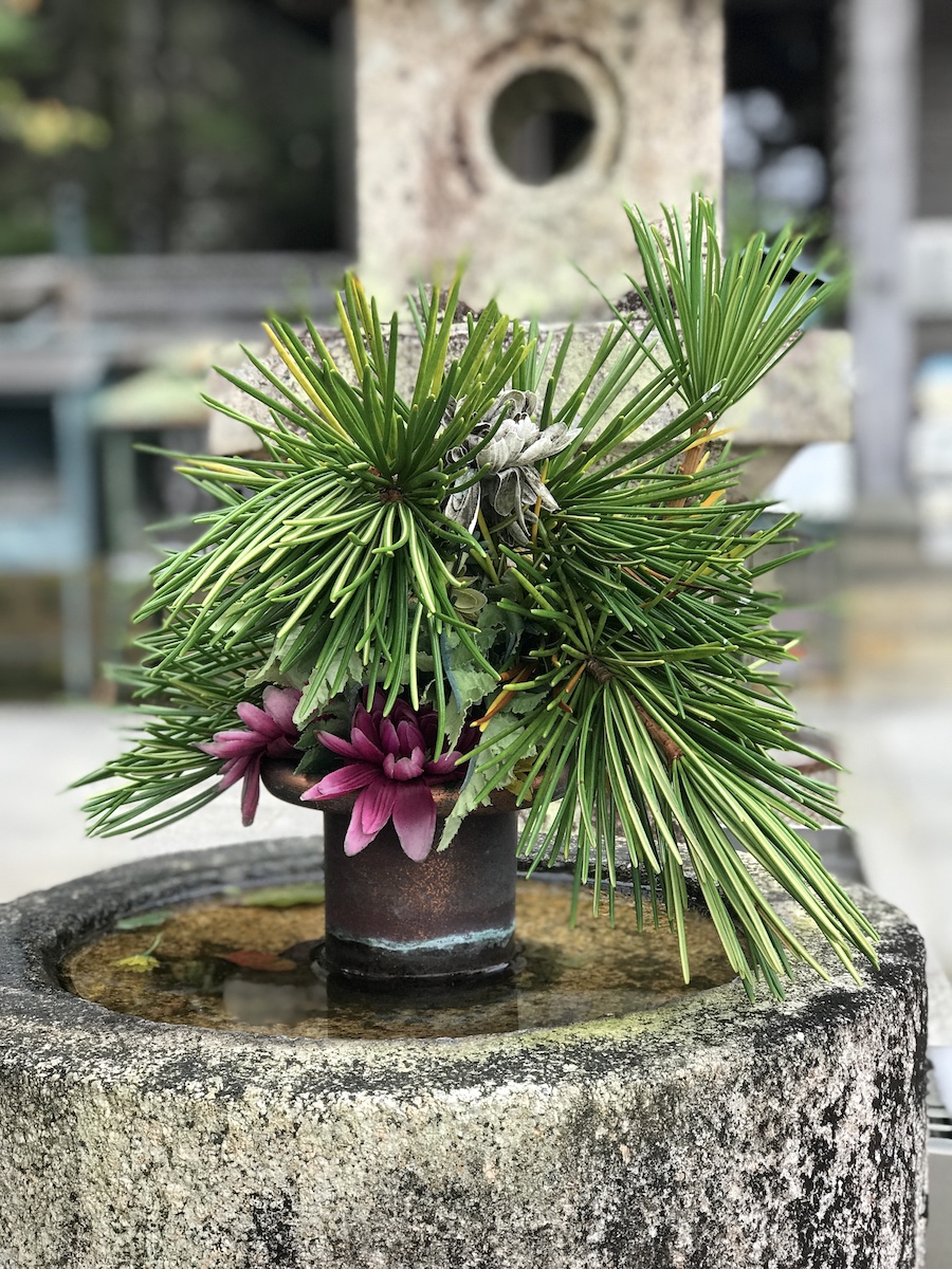 Tokushima Bucket List: 12 Best Things To Do in Japan's Prefecture