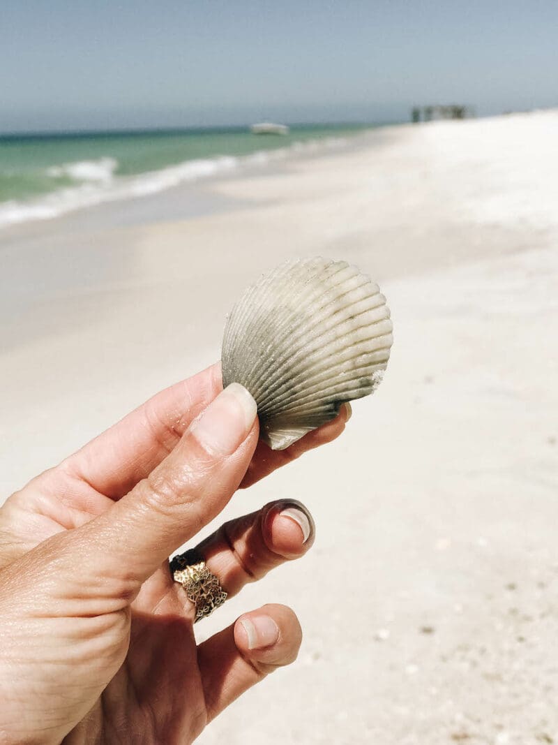 Panama City Beach Bucket List: 30 Best Things To Do in PCB Florida
