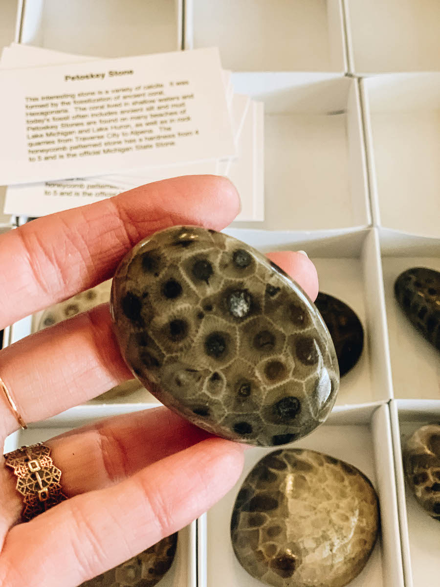 Petoskey Stones: Hunting for the Healing Rocks of Michigan