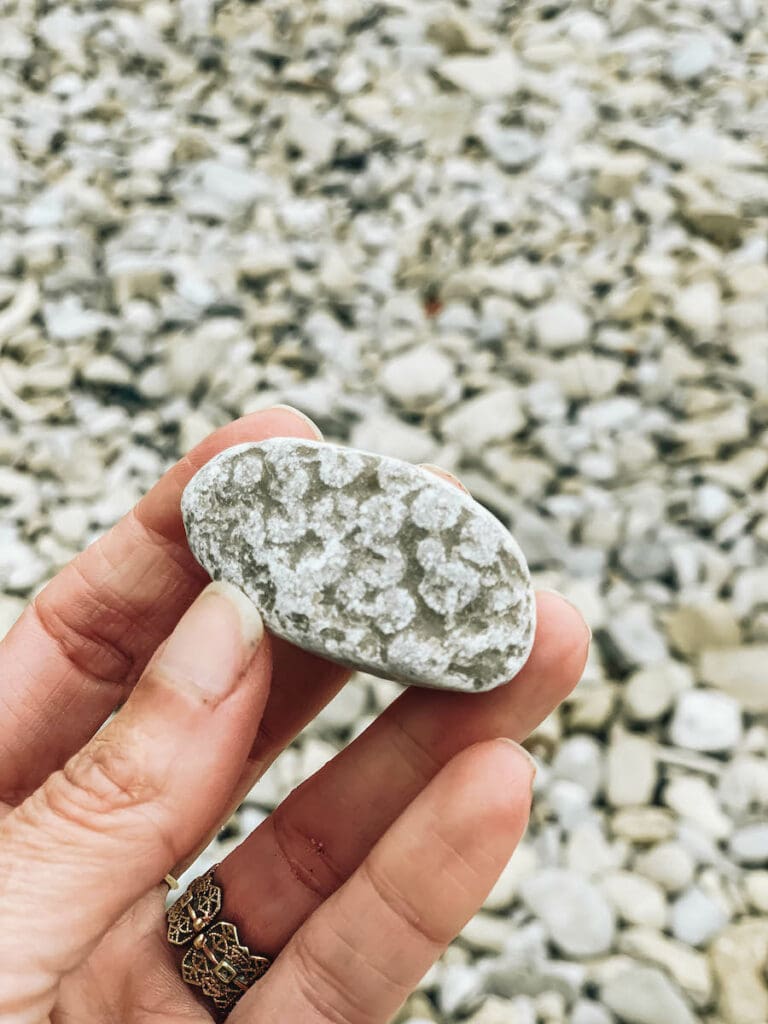 Petoskey Stones: Hunting for the Healing Rocks of Michigan