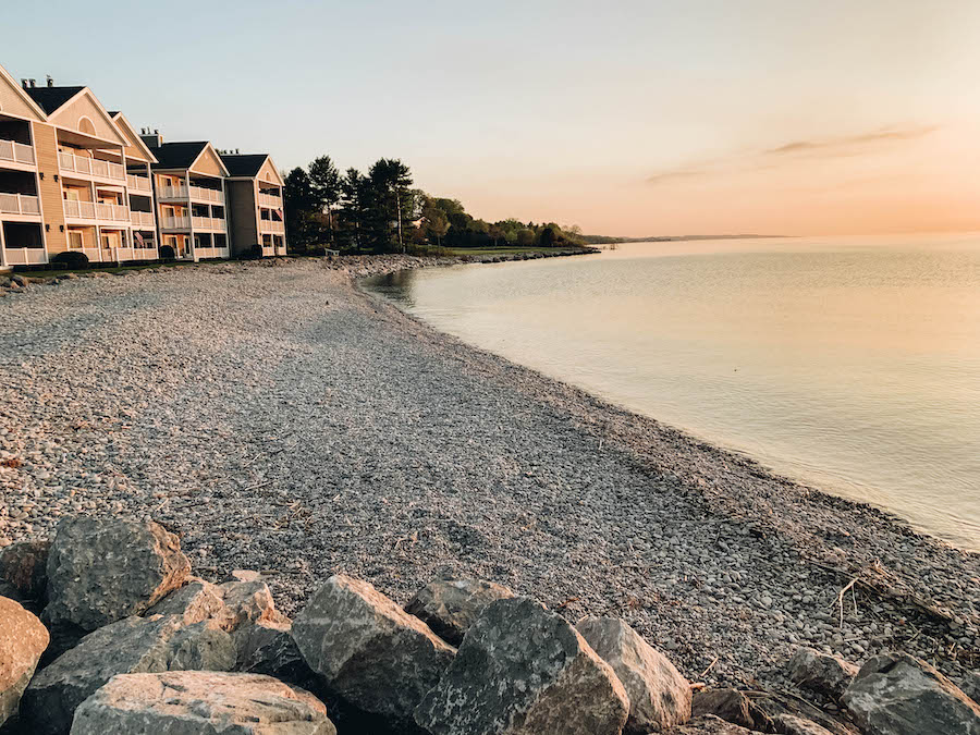 Petoskey Stones: Hunting for the Healing Rocks of Michigan