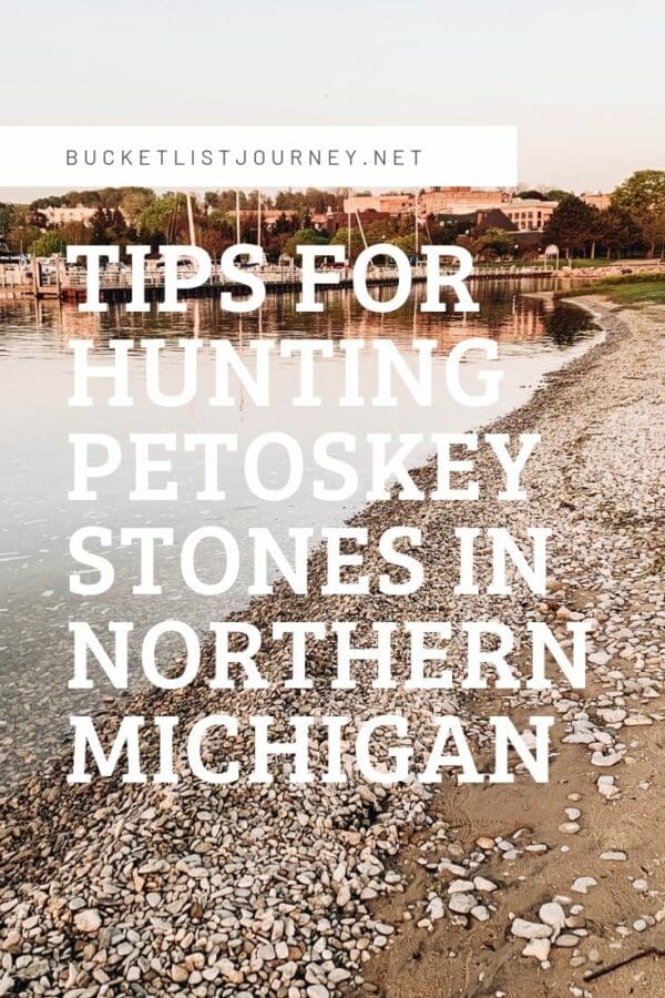 Petoskey Stones: Hunting for the Healing Rocks of Michigan