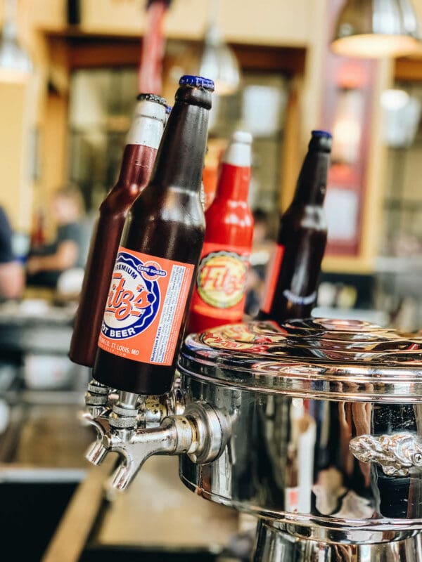 St. Louis Bucket List: 18 Fun Things to Do in Missouri's STL