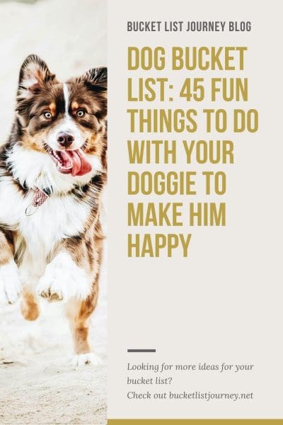 Dog Bucket List: 45 Fun Things to Do With Doggie to Make Him Happy