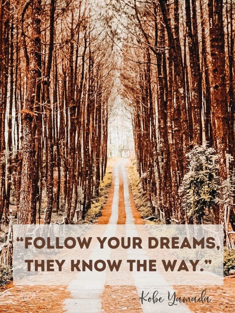 100+ Quotes About Following Your Dreams that will Speak to Your Heart