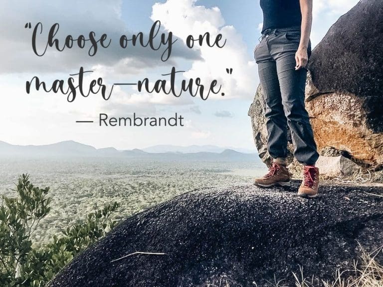 100 Nature Quotes for all Lovers of Natural Beauty