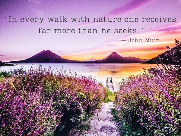 100 Nature Quotes for all Lovers of Natural Beauty