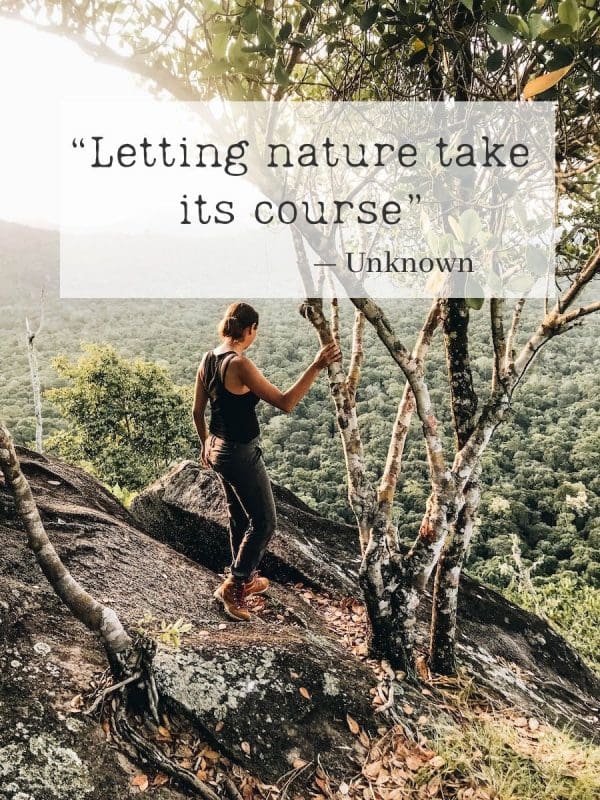 100 Nature Quotes for all Lovers of Natural Beauty
