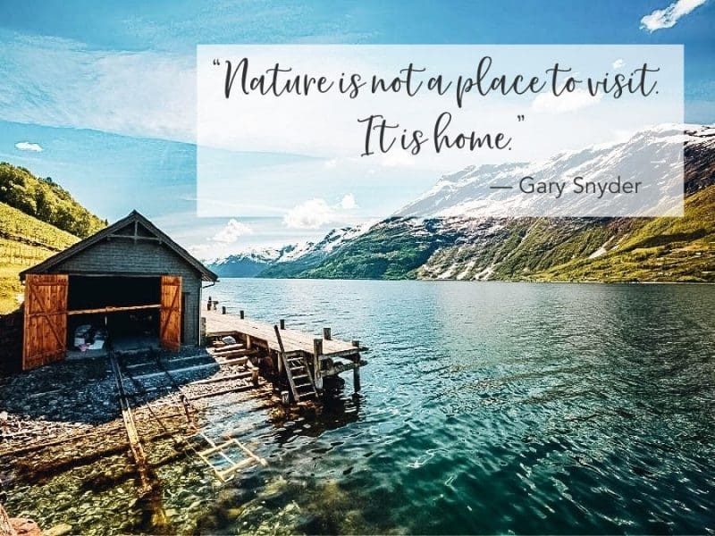 100 Nature Quotes for all Lovers of Natural Beauty