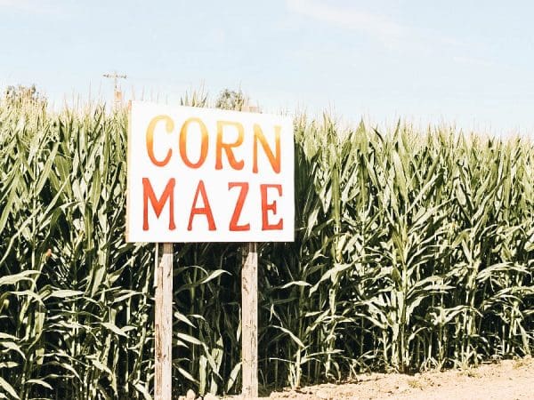 Halloween Bucket List: 105 Fun Activities & Things to Do