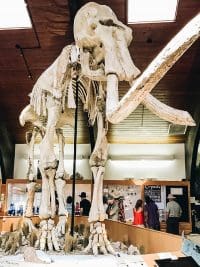 Casper Wyoming Bucket List: 15 Attractions & Places to Visit