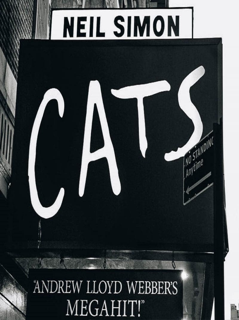 Broadway Musical Bucket List: 75+ Best Shows to See