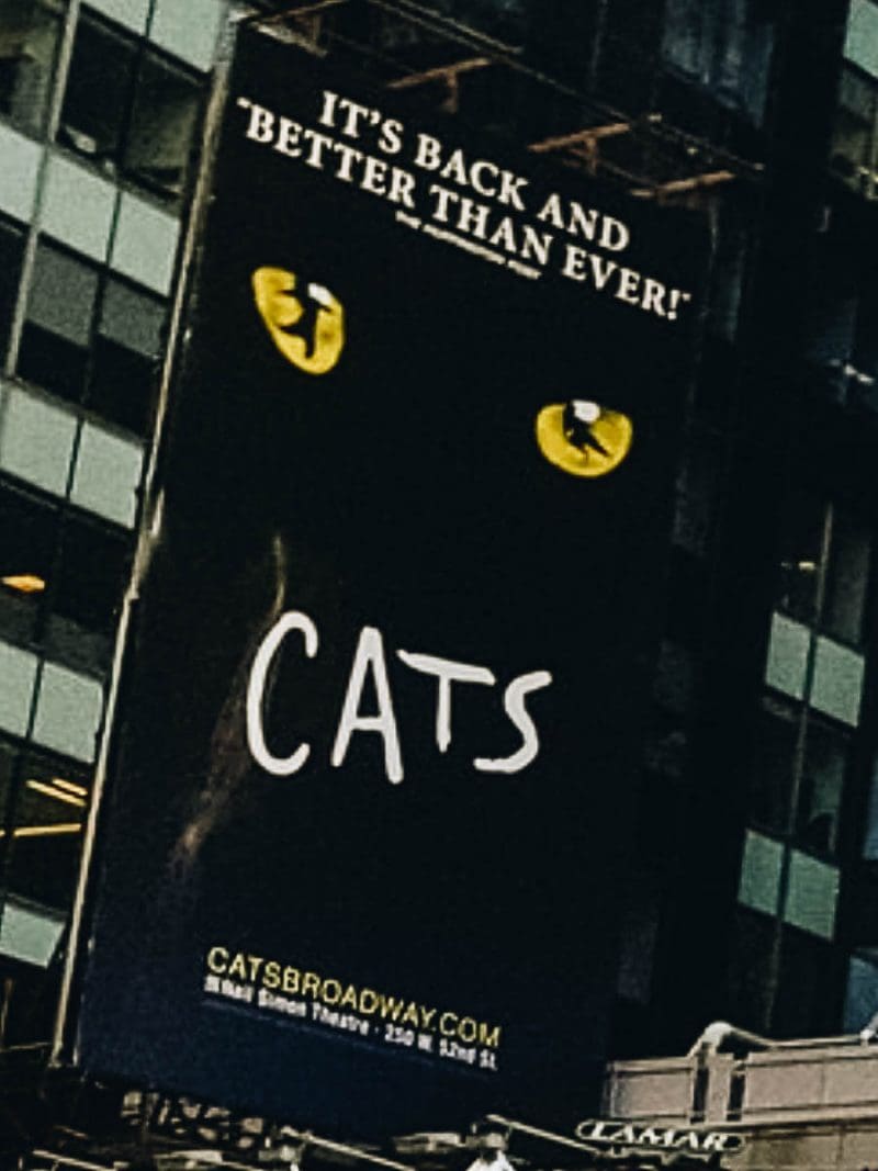 Broadway Musical Bucket List: 75+ Best Shows to See