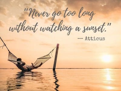 100 Beautiful Sunset Quotes to Inspire Life & Love