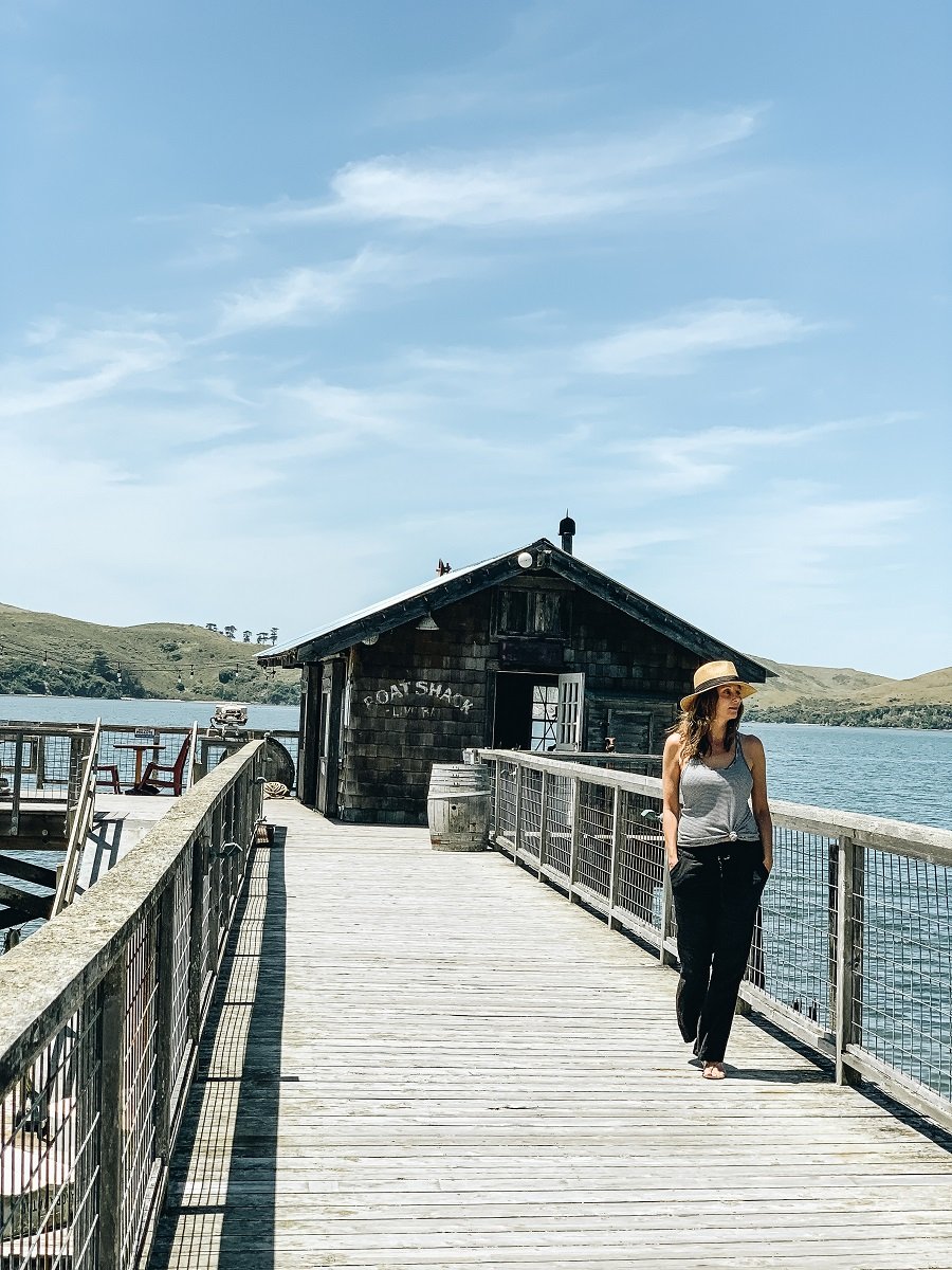 25 Things to Do in Point Reyes National Seashore