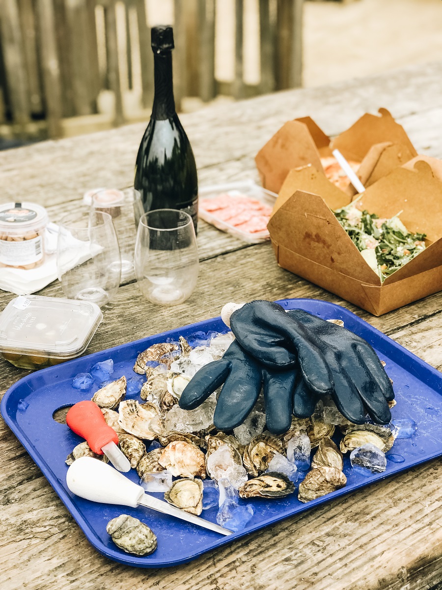 25 Things to Do in Point Reyes National Seashore