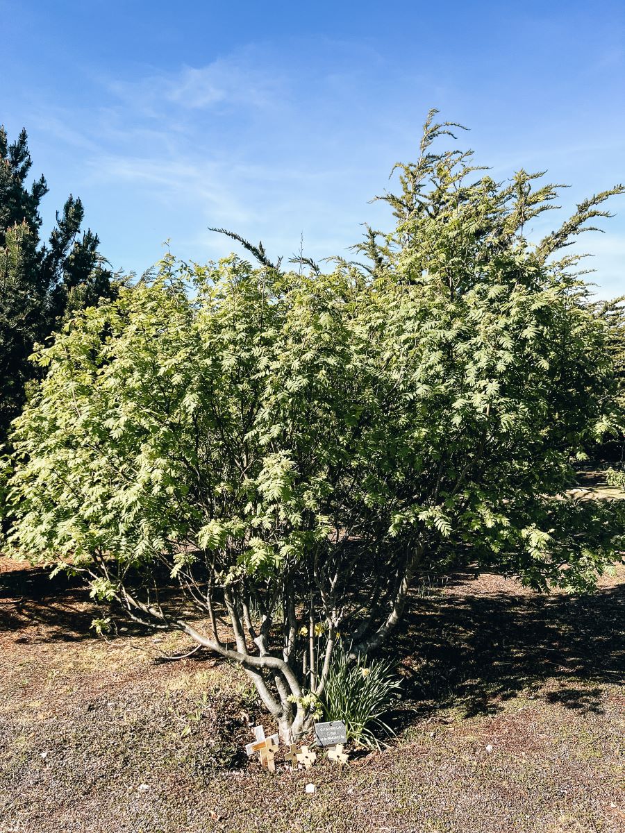 Port Stanley Bucket List: 30 Things to do in Falkland Islands Capital