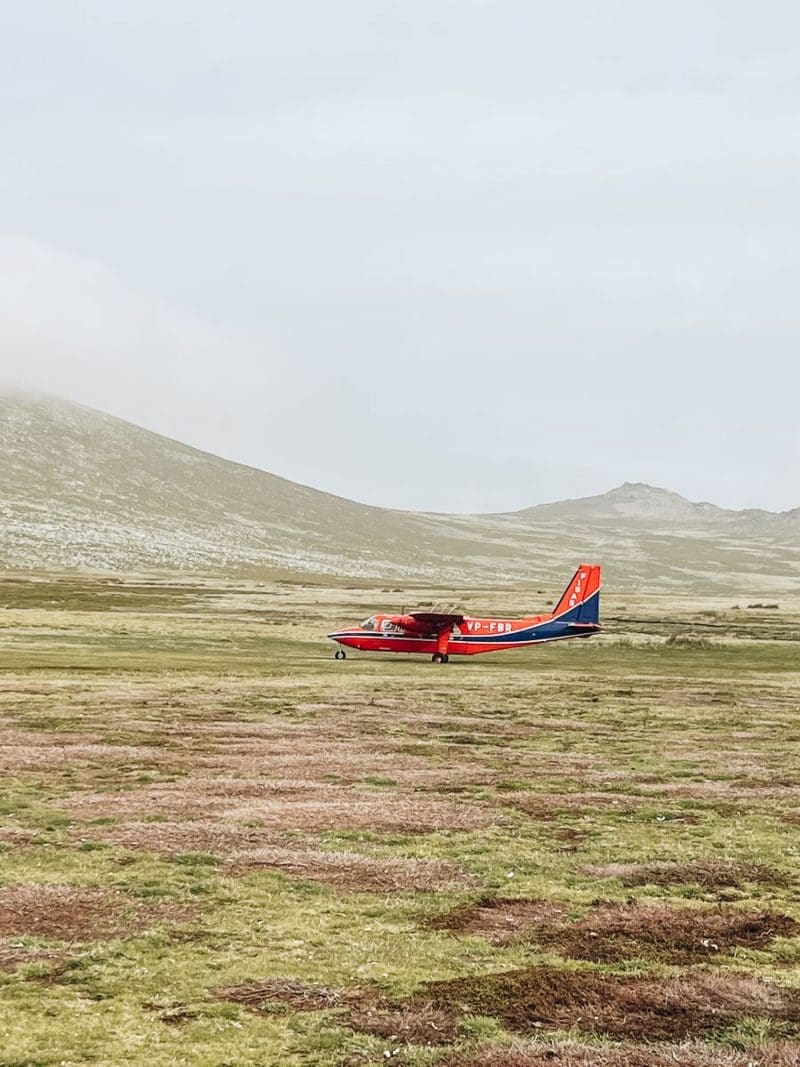 Falkland Islands Bucket List: 25 Things to Do When You Visit