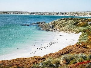 Port Stanley Bucket List: 30 Things to do in Falkland Islands Capital