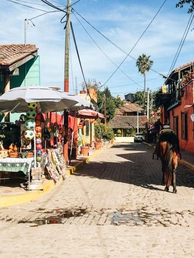 8 Best Things to Do in El Quelite, Mexico (Sinaloa)