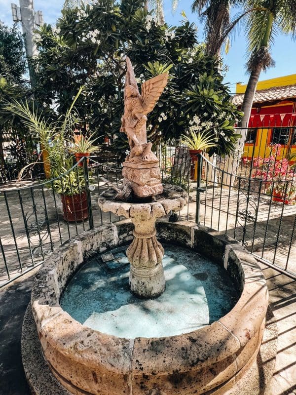 8 Best Things to Do in El Quelite, Mexico (Sinaloa)