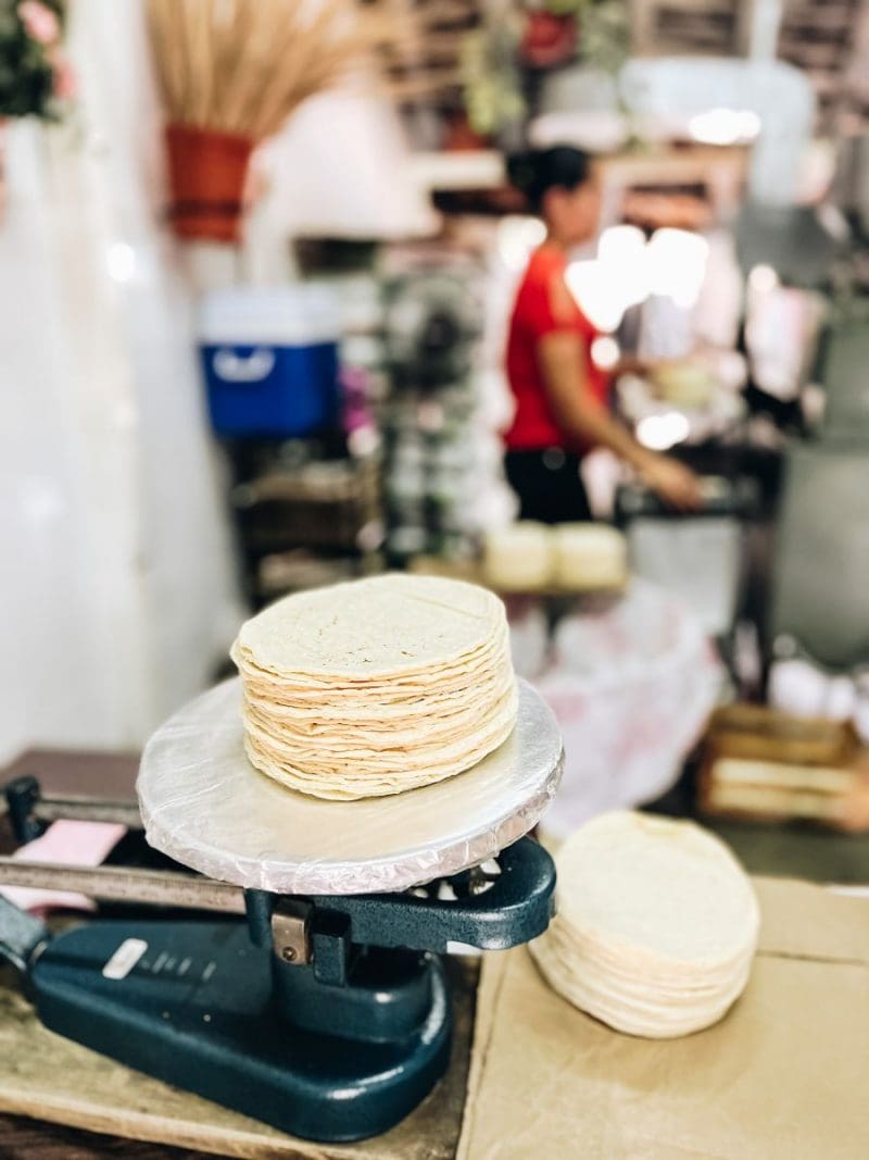 8 Best Things to Do in El Quelite, Mexico (Sinaloa)