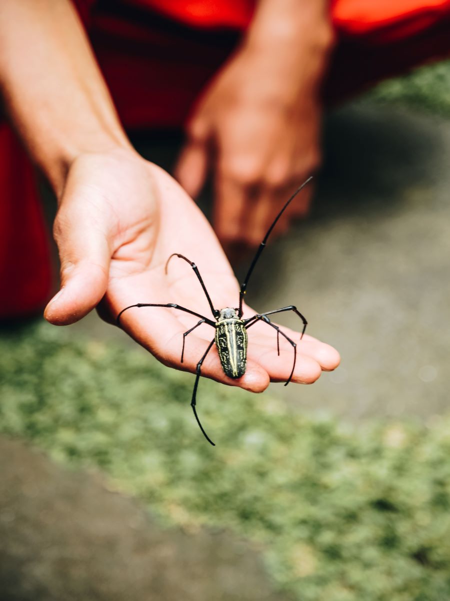 105 Random Animal List: Names of Top Ones to See & Learn About