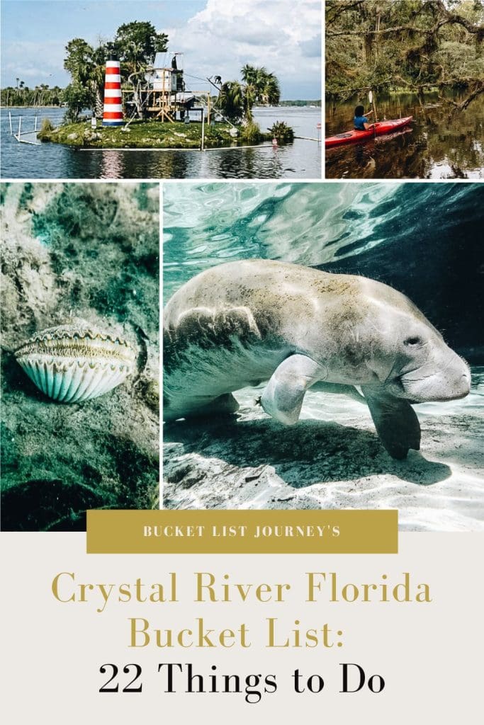 Crystal River Florida Bucket List: 22 Things Not to Miss