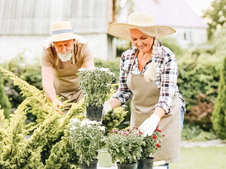 Retirement Bucket List: 44 Activity Ideas and Things to Do