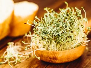 Vegetables Bucket List: 133 Names of Top Veggies to Eat