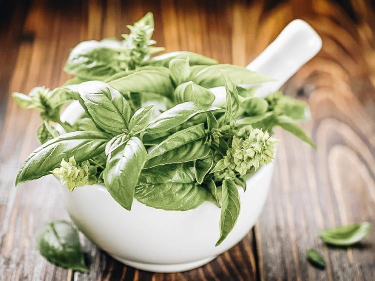 Vegetables Bucket List: 133 Names of Top Veggies to Eat